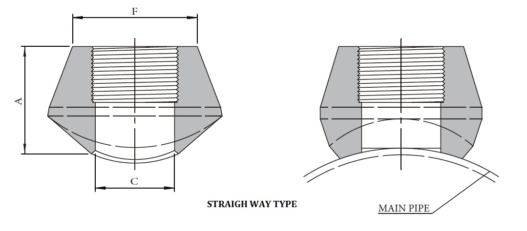 Carbon Steel Threadolet Fittings, Olet Fittings - Golden Highope ...
